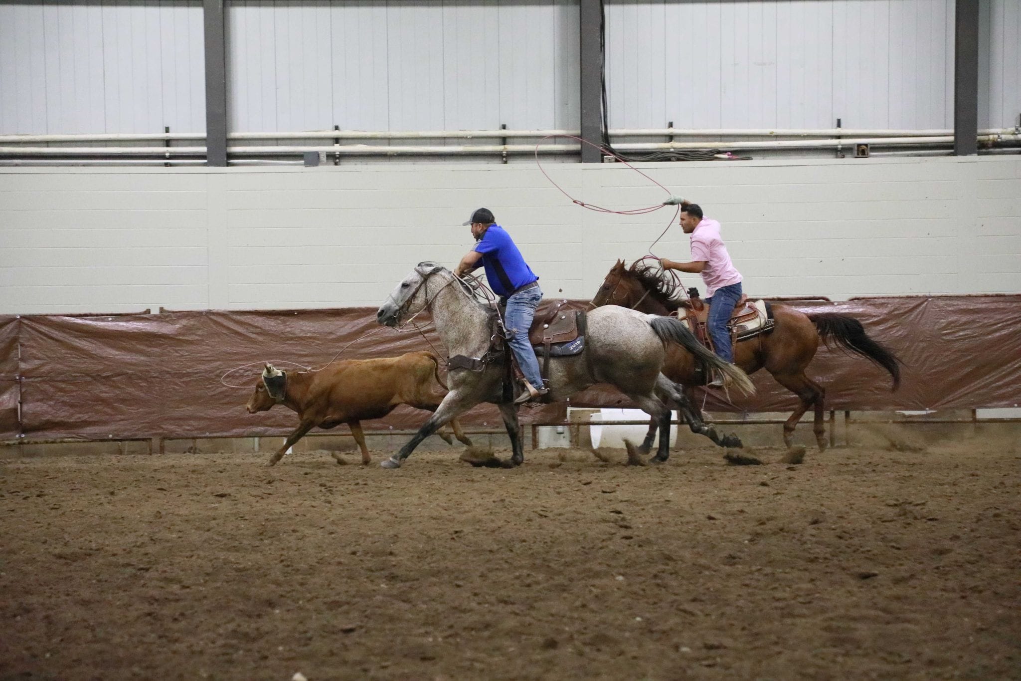 Arena Events - North Dakota State Fair