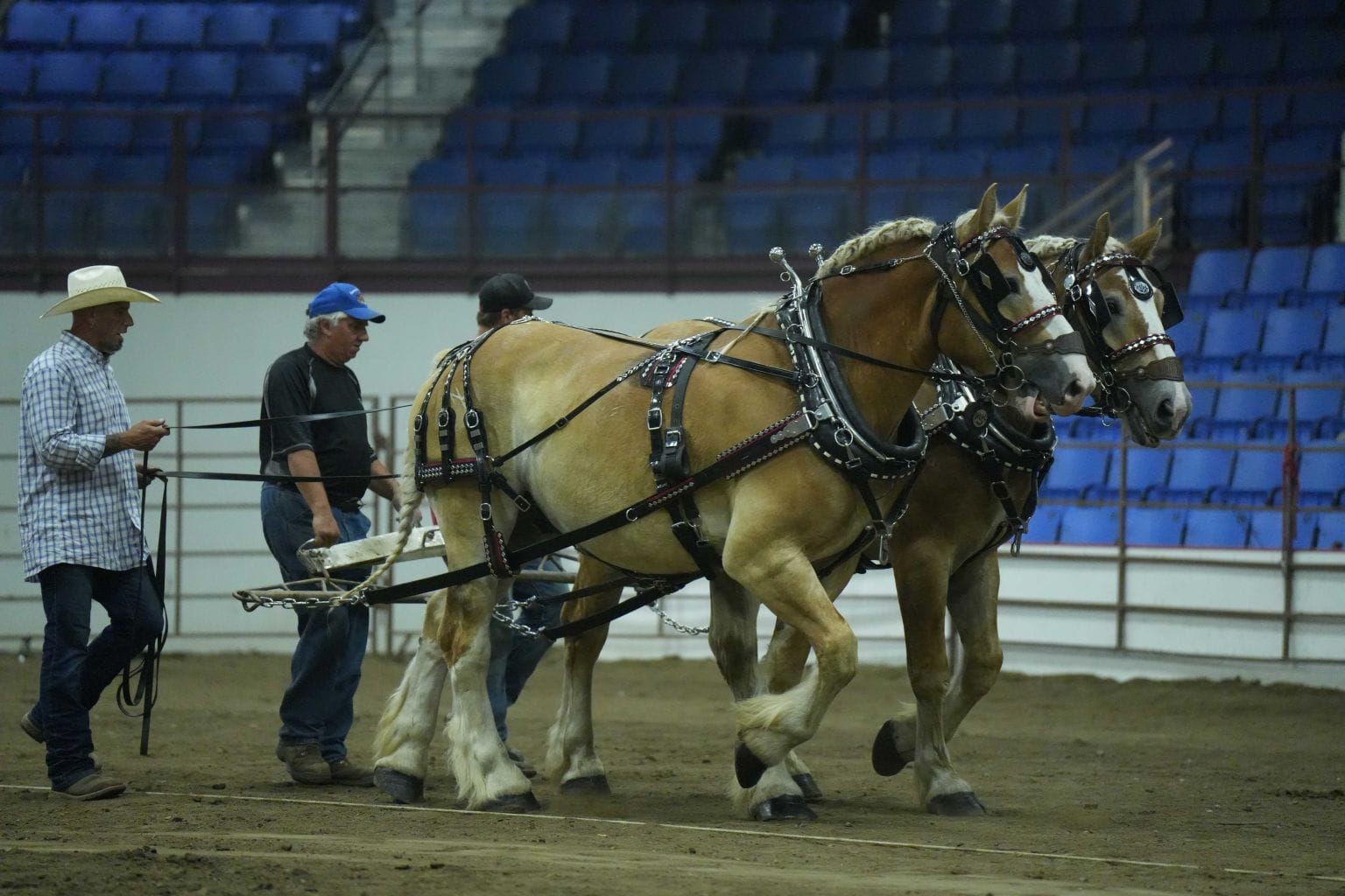 Arena Events - North Dakota State Fair