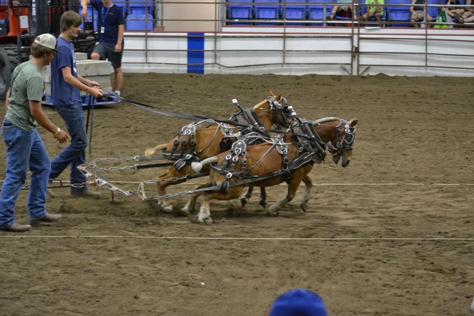 Arena Events - North Dakota State Fair