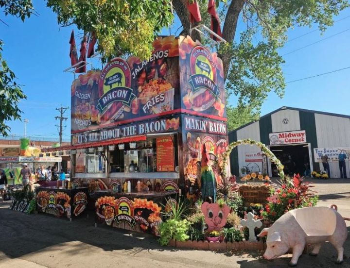 Sue Sue's Bacon 5037 - North Dakota State Fair